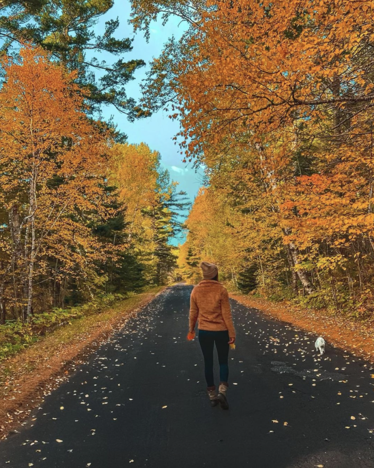 2026 GUIDE to Brockway Mountain & Brockway Mountain Drive