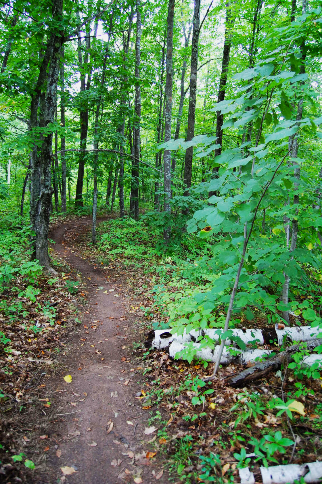 13+ Top Summer Things to Do in Northern Michigan | Michigan Summer ...