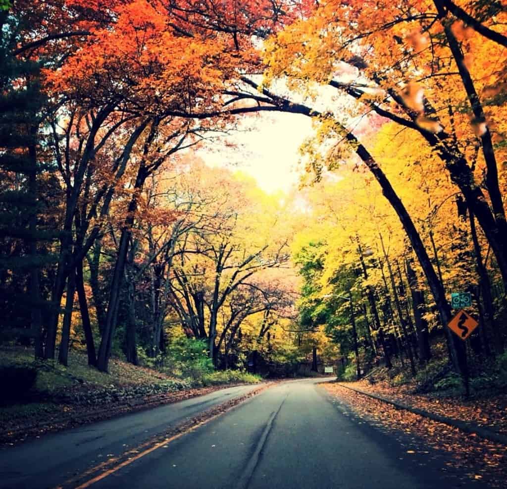 Kalamazoo Michigan Fall Color Tour: 4 Can't-Miss Roads for a Fall ...