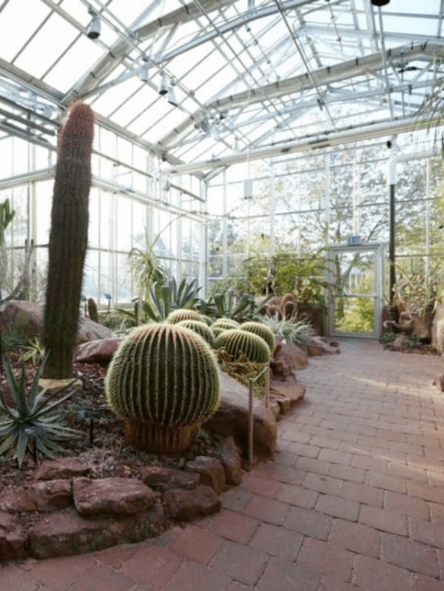 5 Excellent Indoor Winter Things To Do In Michigan 5-excellent-indoor-winter-things-to-do-in-michigan