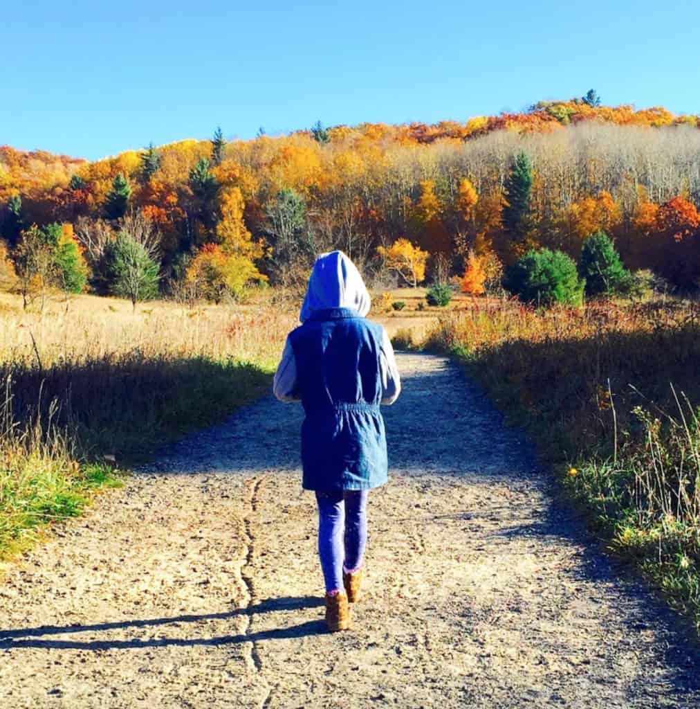 6 Great Hikes in Traverse City For The Whole Family - The Awesome Mitten