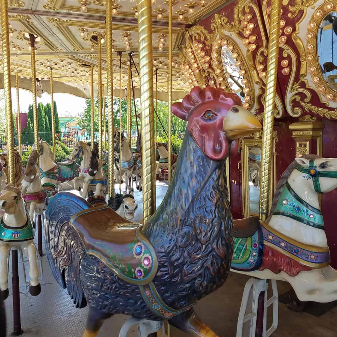 17 Reasons To Visit Michigan’s Adventure Amusement Park & Water Park