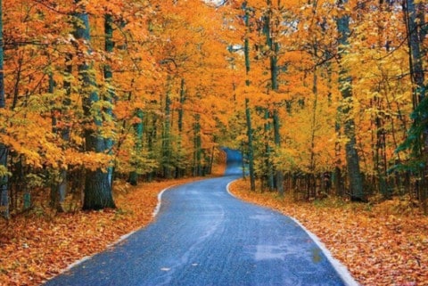 2024 AWESOME Guide to M-119 Tunnel of Trees Michigan