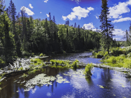 Take a Hike to the Highest Point in Michigan & Upper Peninsula Waterfalls