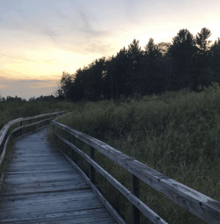 Hike the Heritage Nature Trail in Cadillac's William Mitchell State Park