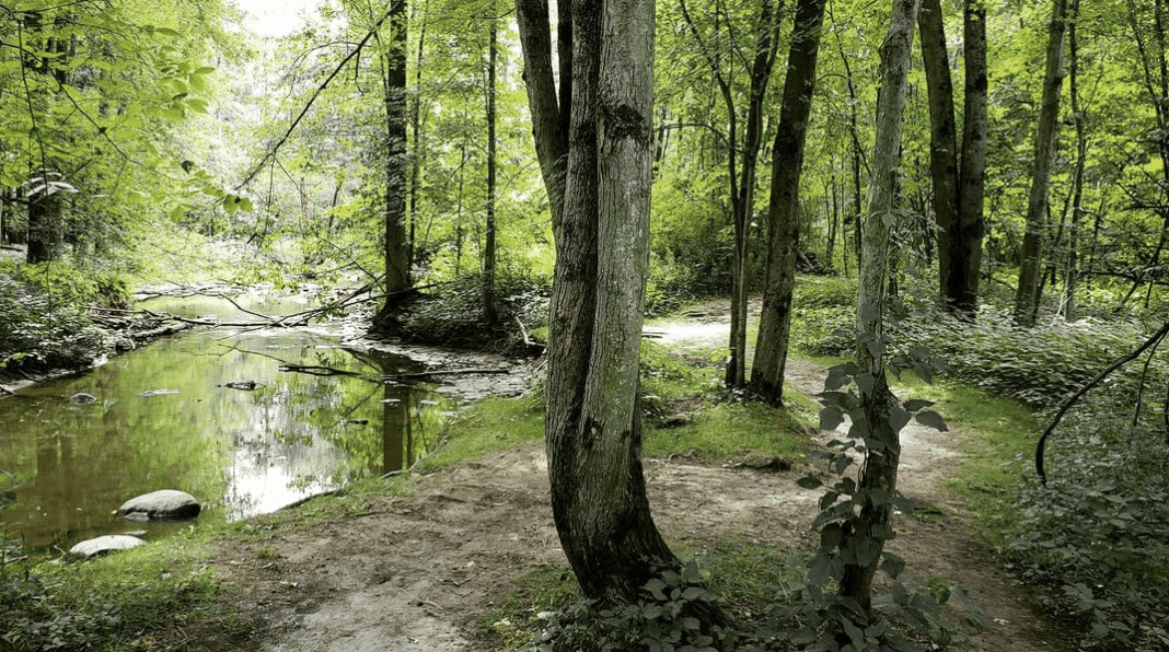 Uncover History at Sanilac Petroglyphs Historic State Park