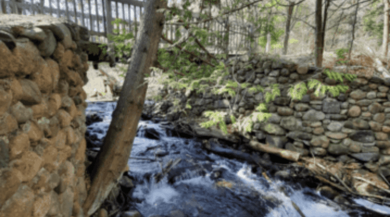 6 Awesome Features of Weko Beach Near Warren Dunes