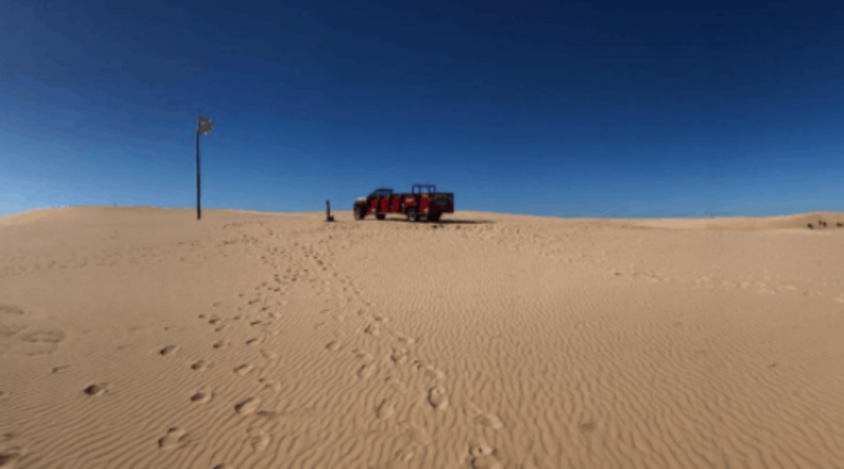 6 Awesome Features of Weko Beach Near Warren Dunes