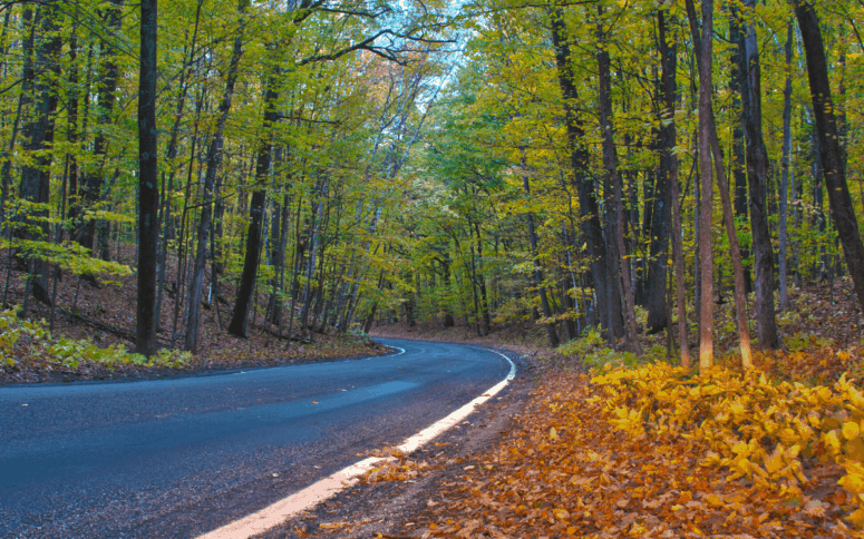 2024 AWESOME Guide to M-119 Tunnel of Trees Michigan