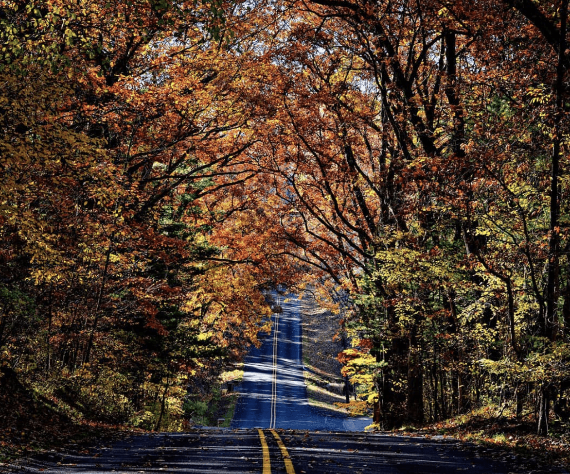 7 Can't-Miss Colorful Scenic Drives in West Michigan This Fall