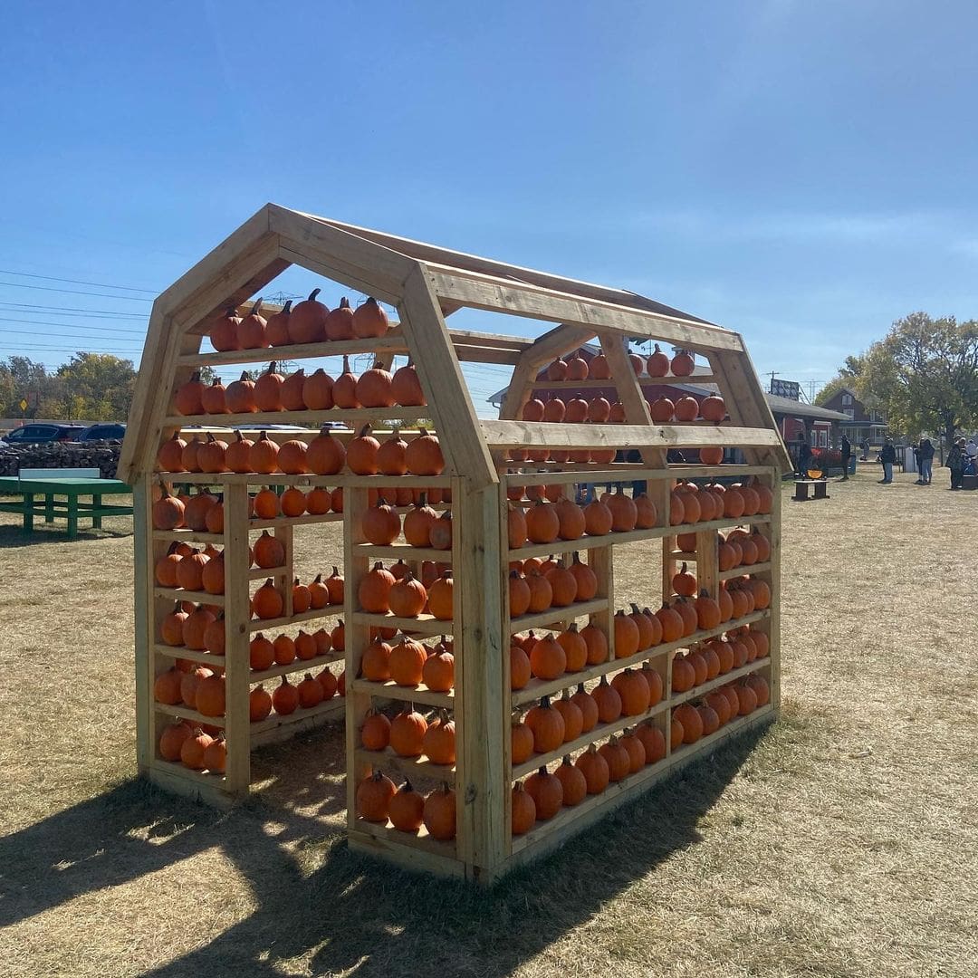 Pick a Perfect Pumpkin | Top Metro Detroit Pumpkin Patches