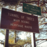 ULTIMATE M-119 Tunnel of Trees Michigan Road Trip Itinerary