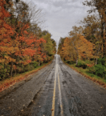 2026 Michigan Fall Color Map + Peak Prediction Guide