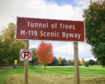 ULTIMATE M-119 Tunnel of Trees Michigan Road Trip Itinerary