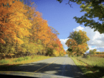 2024 AWESOME Guide to M-119 Tunnel of Trees Michigan