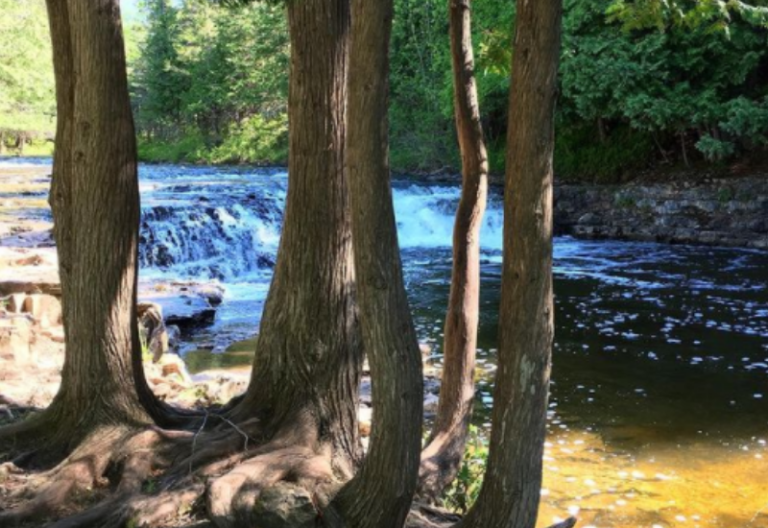 2026 AWESOME Guide to Ocequoc Falls & Bicentennial Pathway