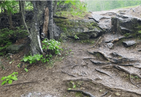 2026 AWESOME Guide to Ocequoc Falls & Bicentennial Pathway