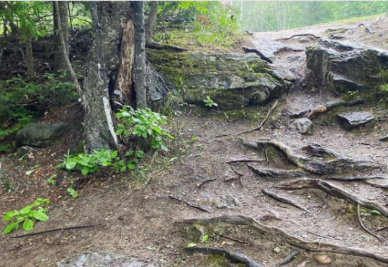 2026 AWESOME Guide to Ocequoc Falls & Bicentennial Pathway