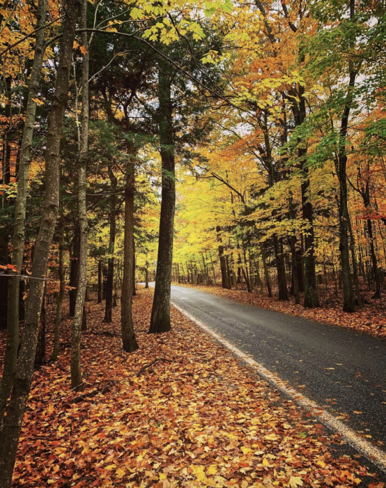 12 Stops That Prove Pierce Stocking Scenic Drive Is Michigan’s Most ...