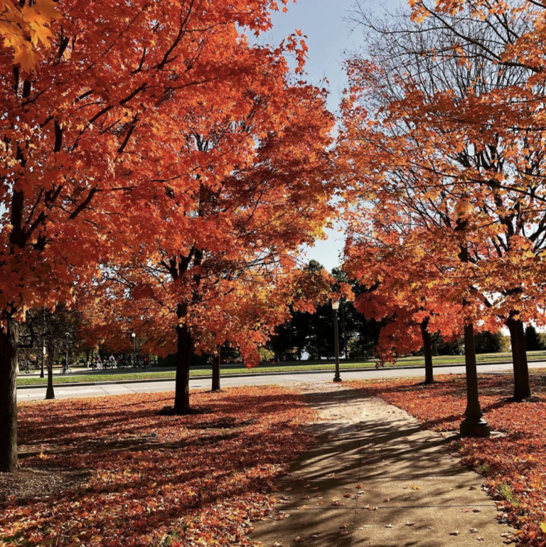 25 Stunning Fall Scenic Overlooks in Michigan