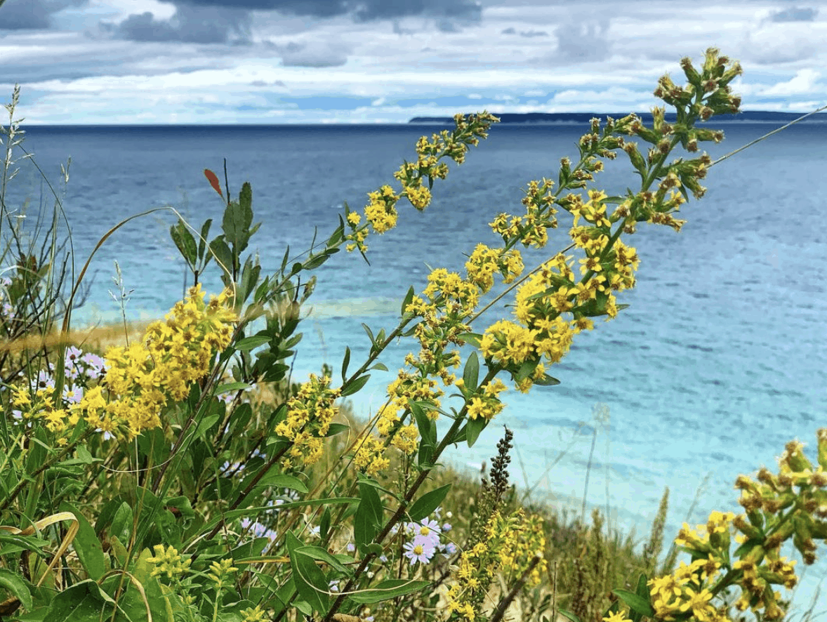 12 Stops That Prove Pierce Stocking Scenic Drive Is Michigan’s Most ...