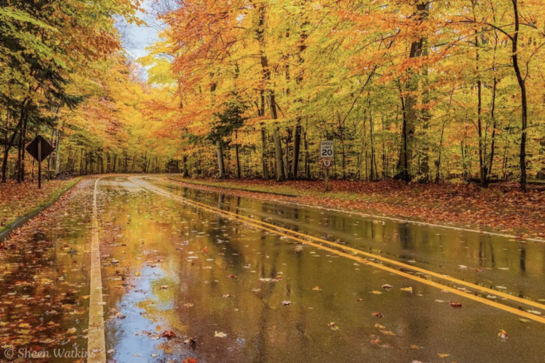 12 Stops That Prove Pierce Stocking Scenic Drive Is Michigan’s Most ...