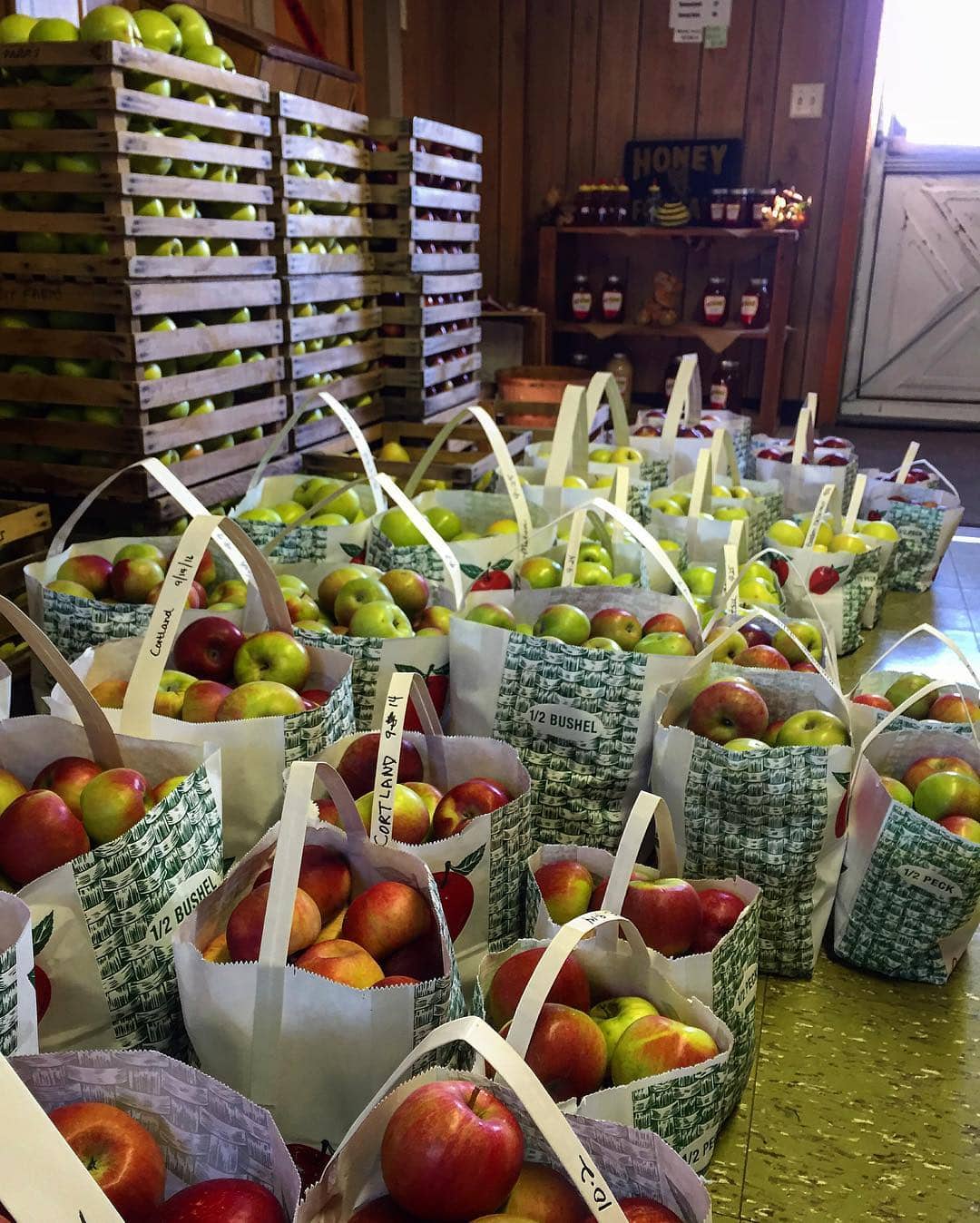 10 BEST Apple Orchards & Cider Mills Near Jackson Michigan
