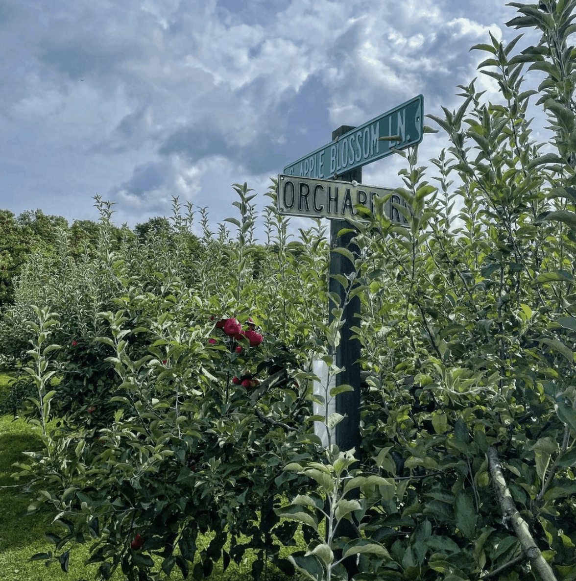 10 BEST Northern Michigan Apple Orchards & Cider Mills