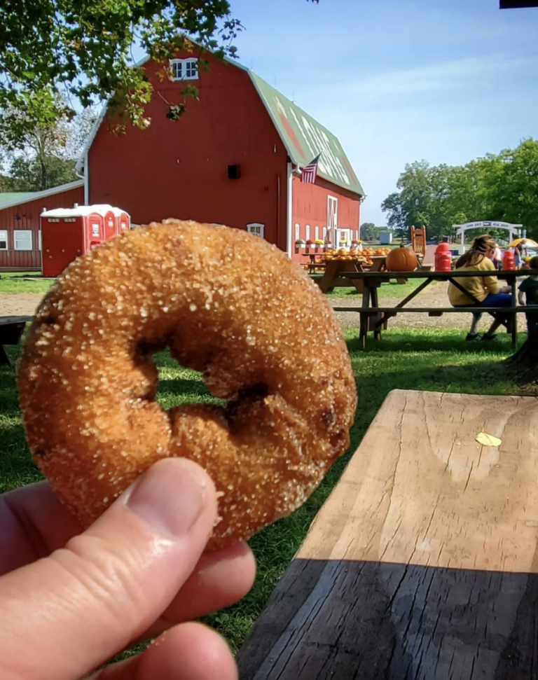 10 Can't-Miss Metro Detroit Apple Orchards & Cider Mills in Southeast ...