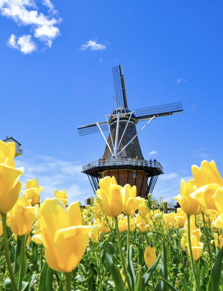 2026 AWESOME Guide to Tulip Time Festival in Holland MI