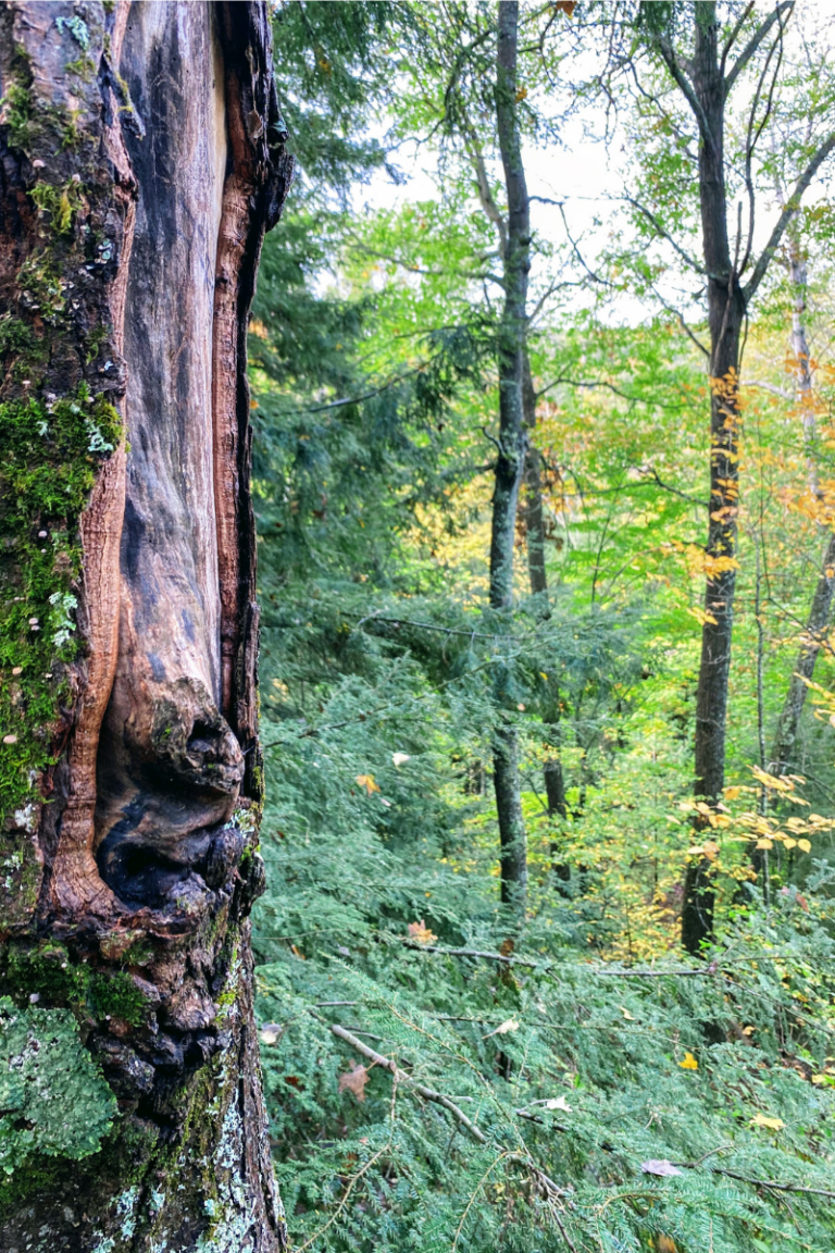 100+ Unique Spring Things to Do in Michigan This Year [2026]