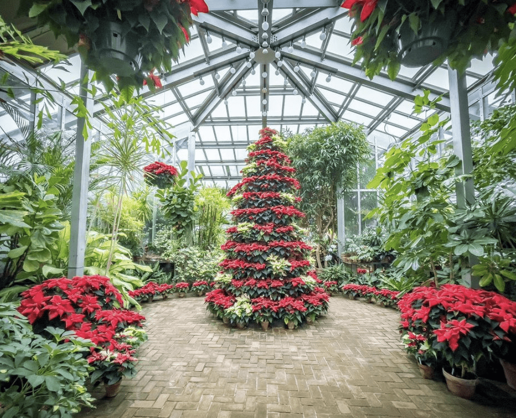 25 Cozy Indoor Things to Do in Michigan This Winter in 2026