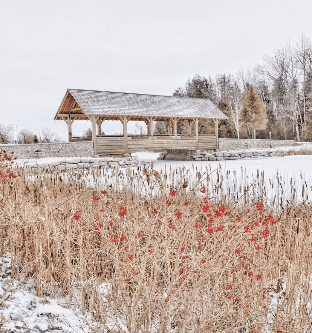 2026 AWESOME Guide to the Best Things to Do in Alpena MI