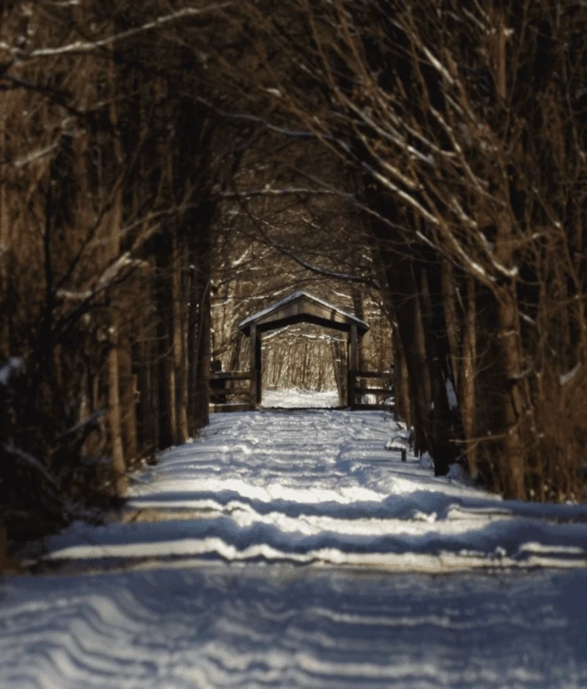 10 Beautiful Covered Bridges in Michigan You Have to Visit