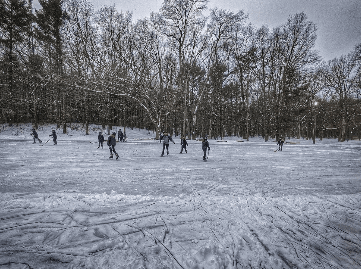 Muskegon Luge Adventure Sports Park | Exhilarating Activities All Year