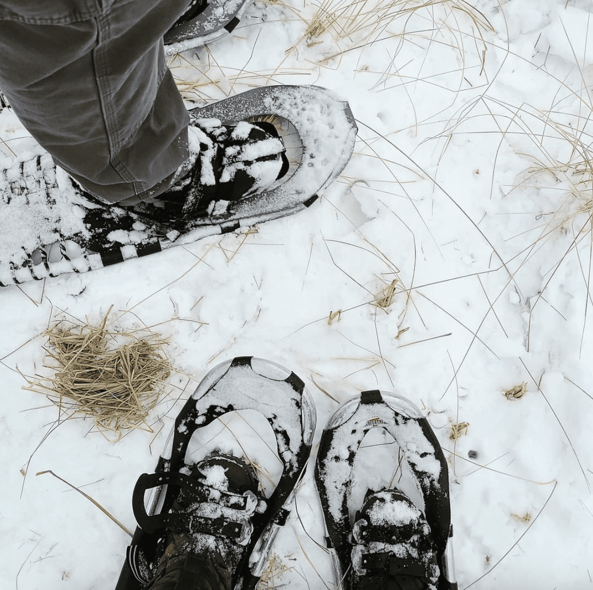 27 Frosty Places for Snowshoeing in Michigan With Scenic Views