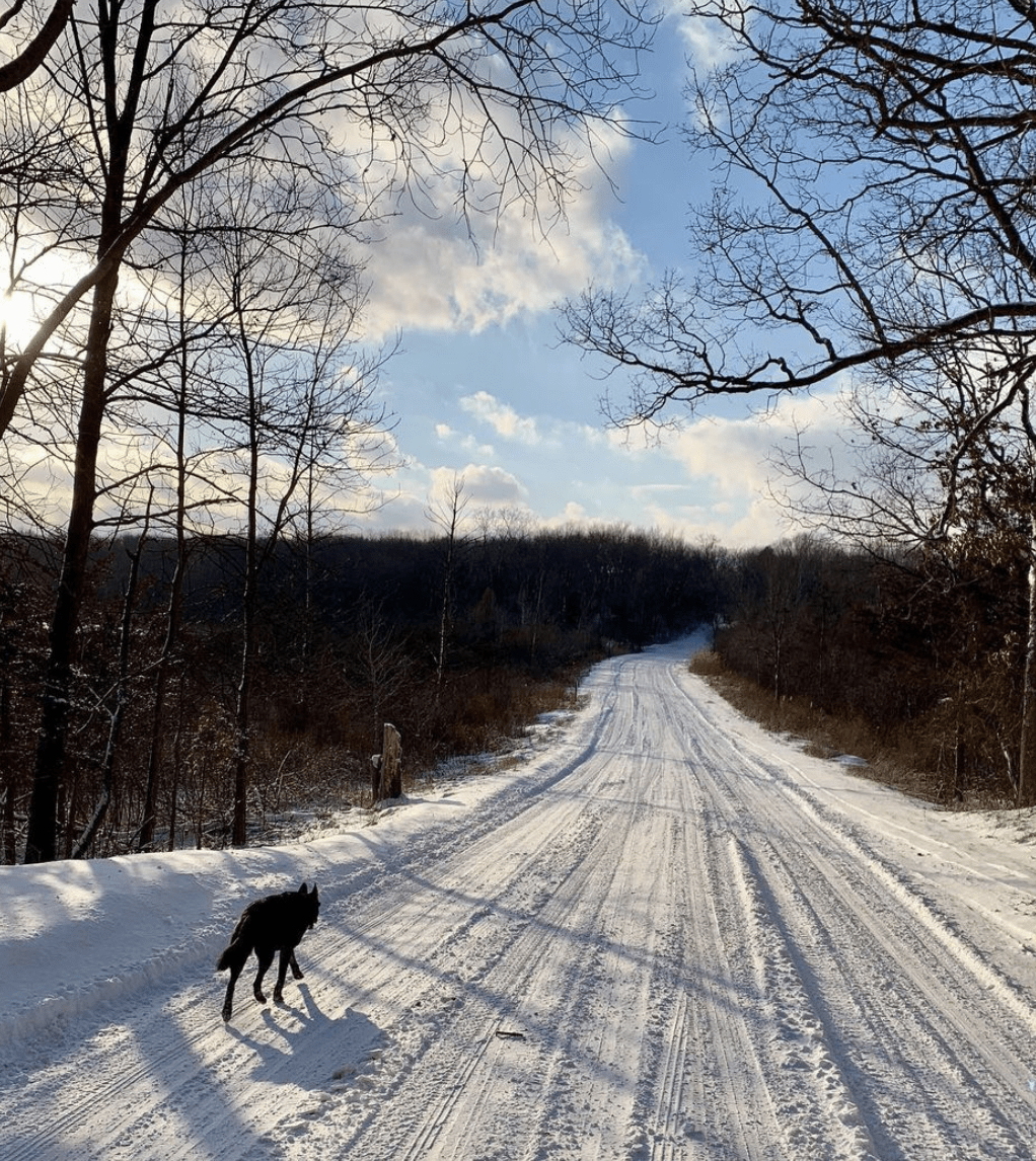15 Best Southern Michigan Cross Country Ski Trails