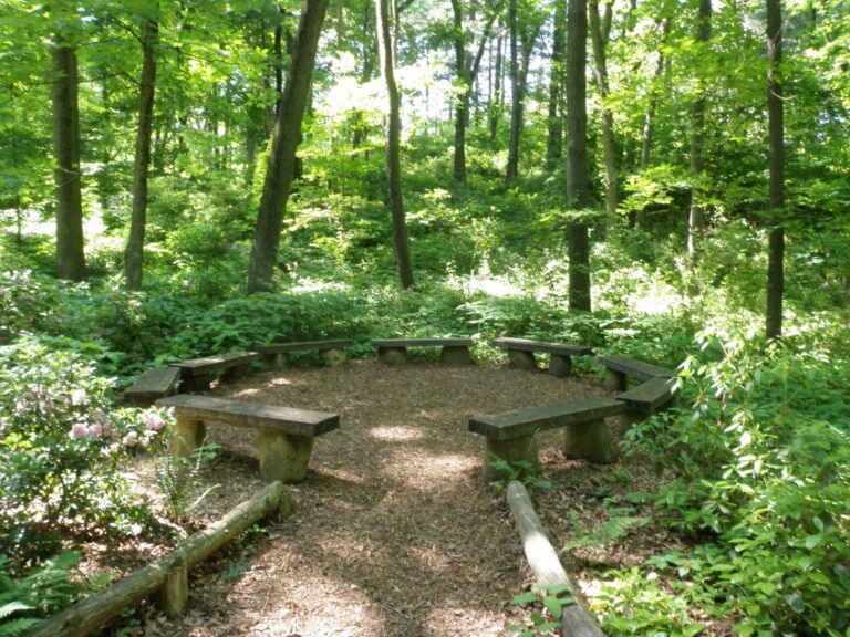 6 Outstanding Reasons to Visit the Matthaei Botanical Gardens and ...