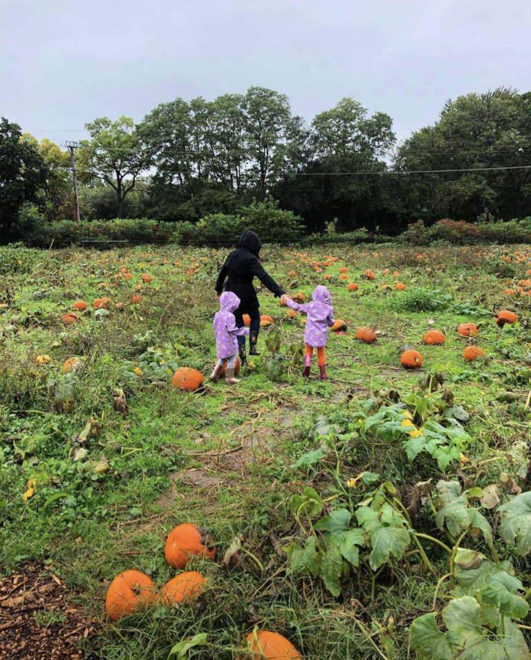 5 Ways to Have More Fun at Bowers Farm Winter Park in Metro Detroit