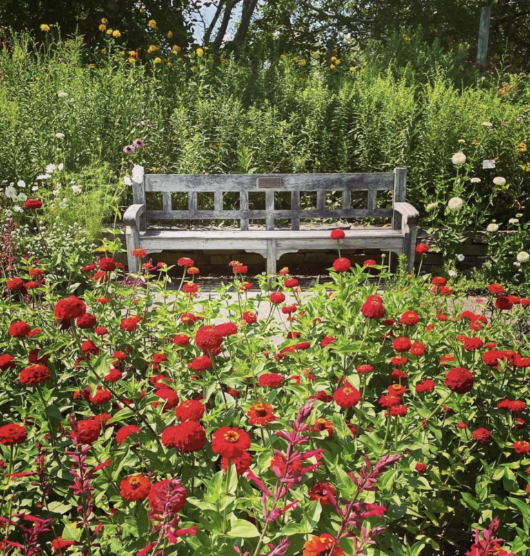 6 Outstanding Reasons to Visit the Matthaei Botanical Gardens and ...