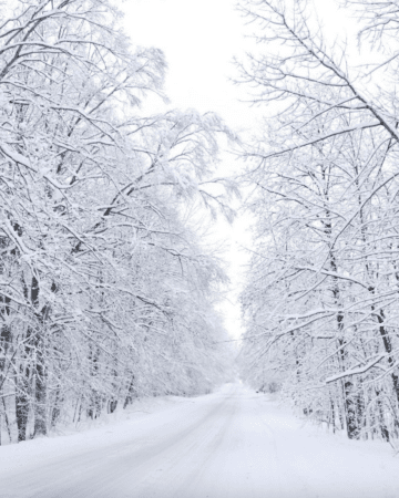 12 Amazing Winter Scenic Drives in Michigan You Must Experience