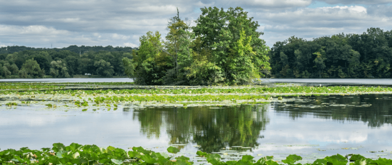 14 Splendid Spring Things to Do in East Michigan This Year