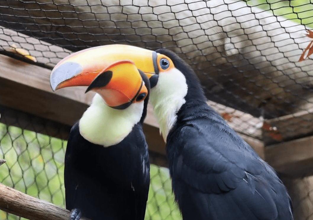 18 Amazing Aquariums & Unique Zoos to Explore in Michigan