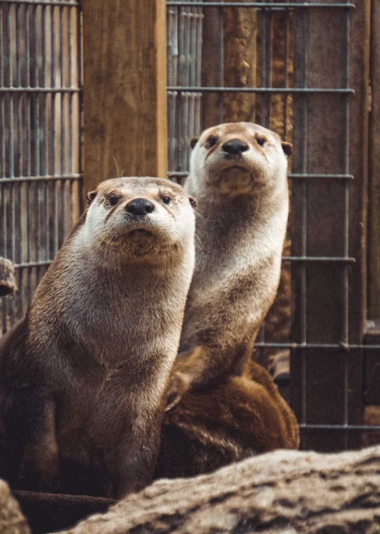 2026 AWESOME Guide of Things to Do in the Upper Peninsula