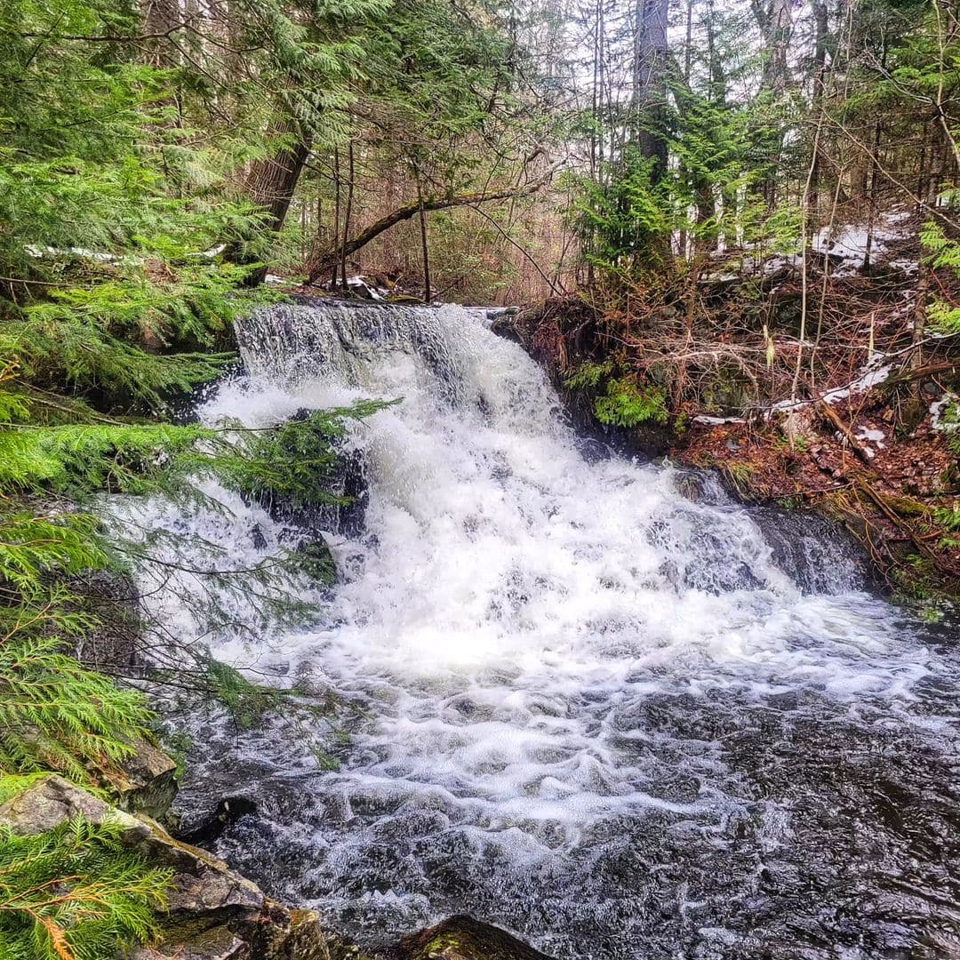 Discover the BEST Waterfalls in Michigan [Guide + Maps]