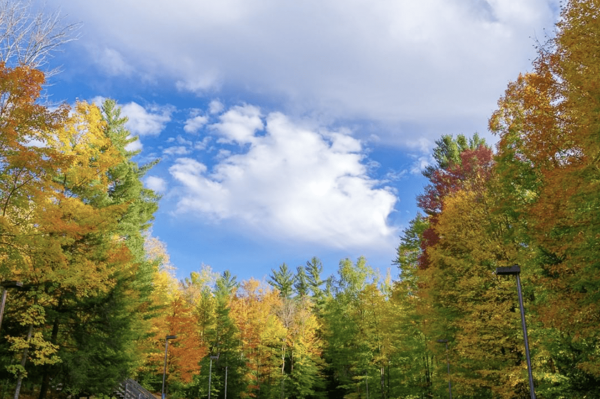 35 BEST Places to Visit for Michigan Fall Colors in 2023