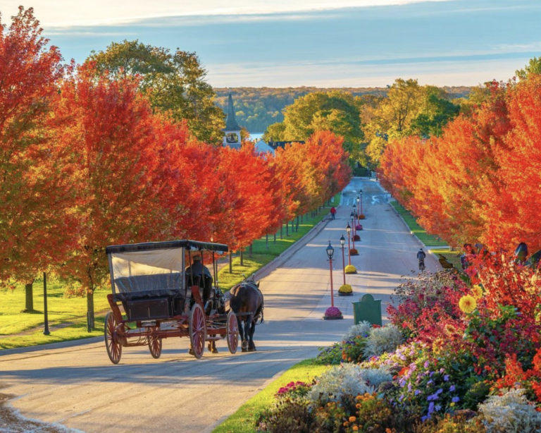 35 BEST Places to Visit for Michigan Fall Colors in 2026
