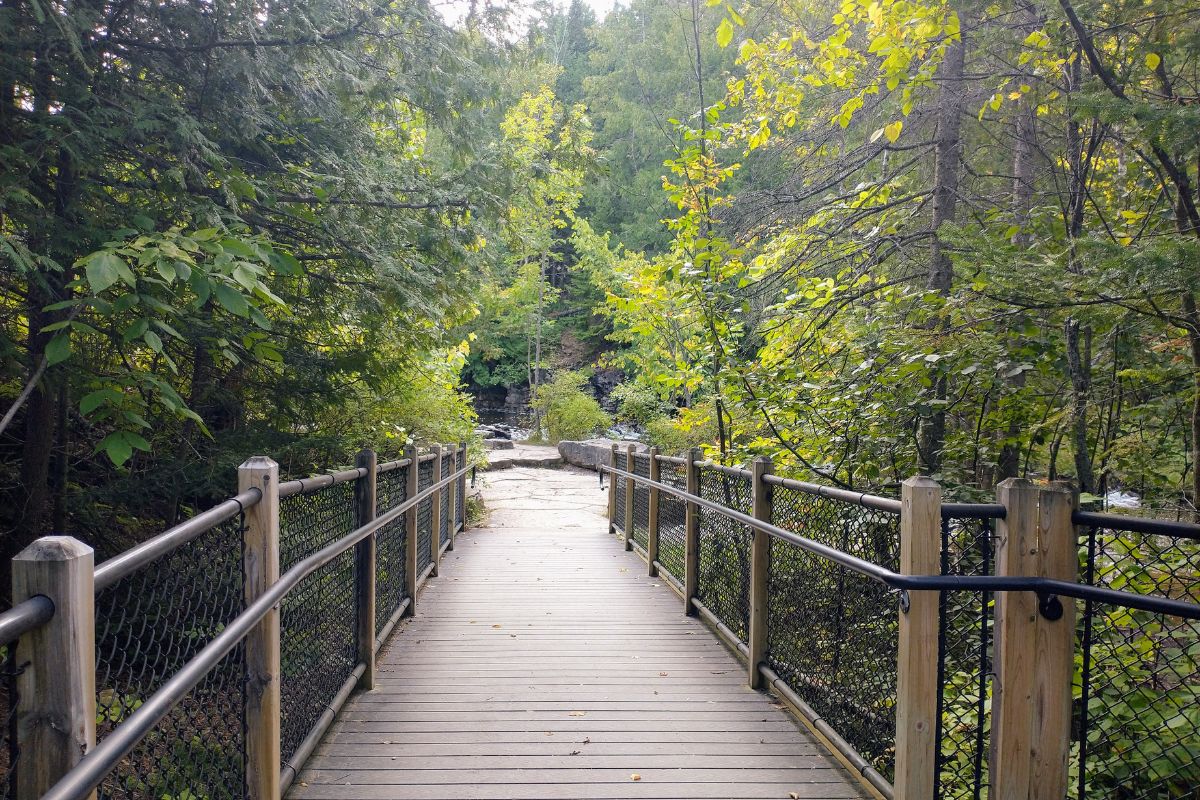 Steal My Itinerary for An Amazing Fall Weekend in Alpena