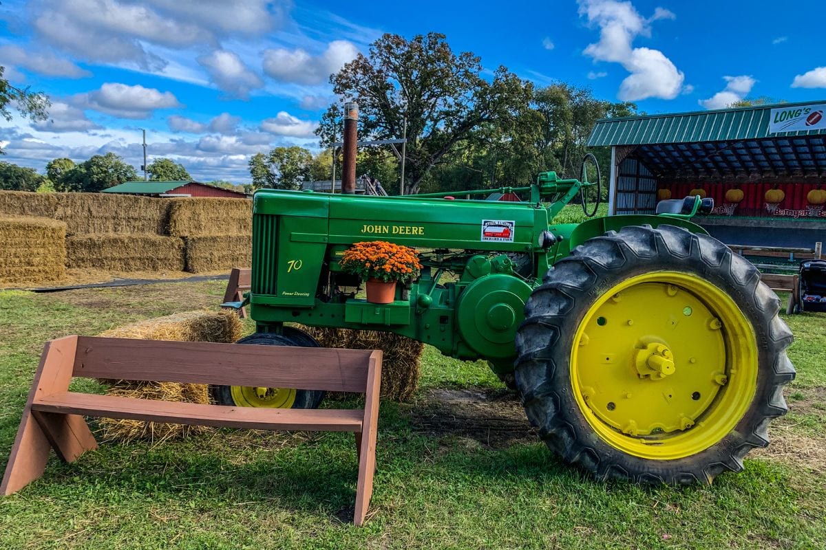 Awesome Mitten Favorites: 5 Unique Michigan Pumpkin Patches