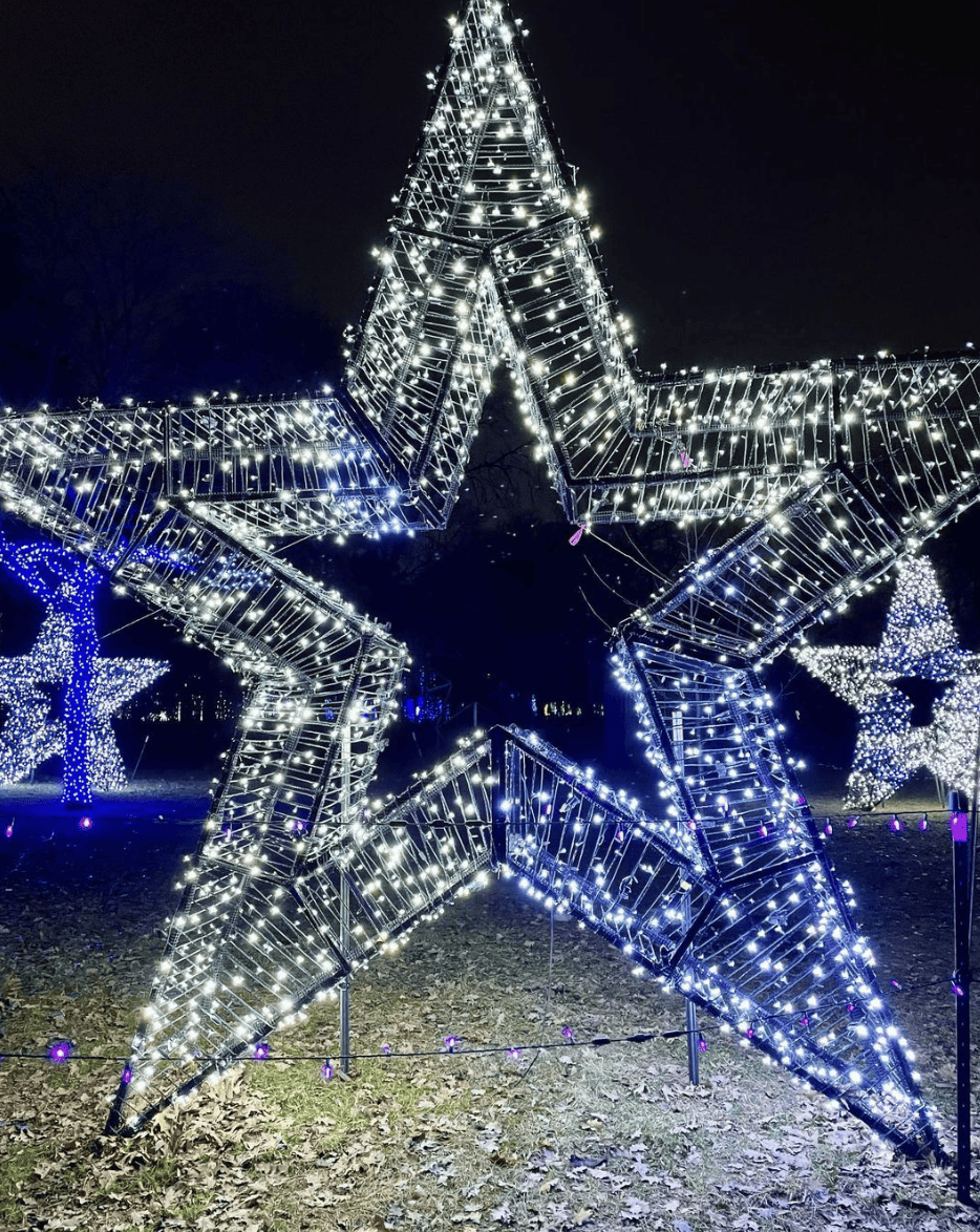 ULTIMATE Guide to the Detroit Zoo's Wild Lights in 2026